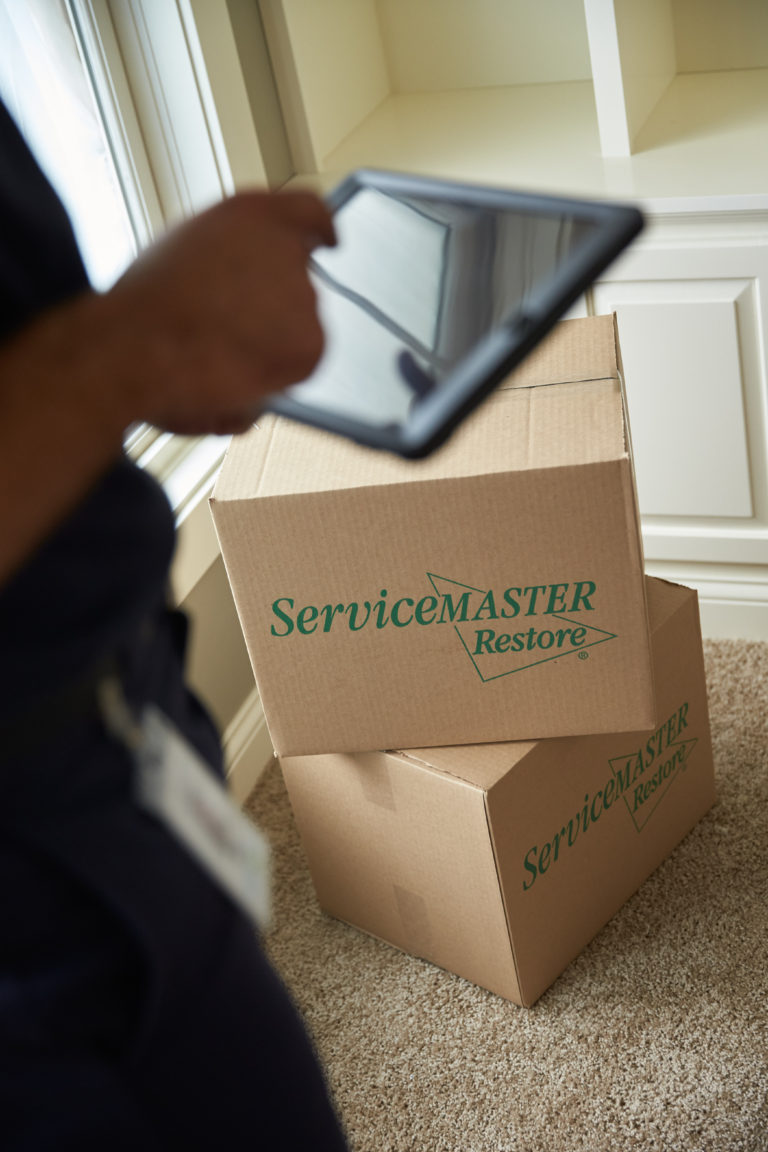 Our Special Damage Recovery Services - ServiceMaster